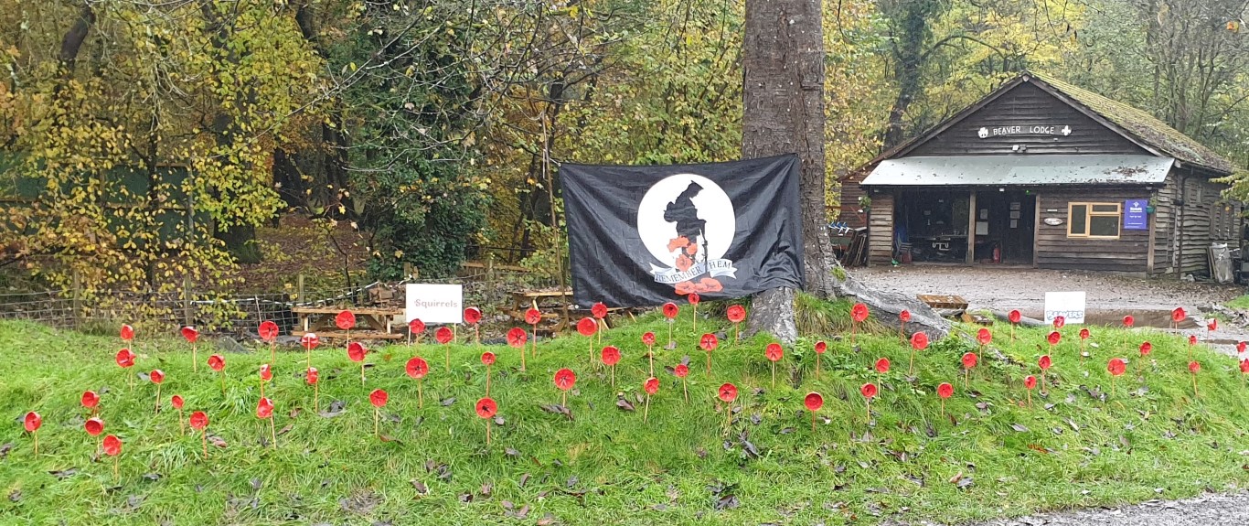 1st Royal Forest Scout Group – 1st Royal Forest Scout Group